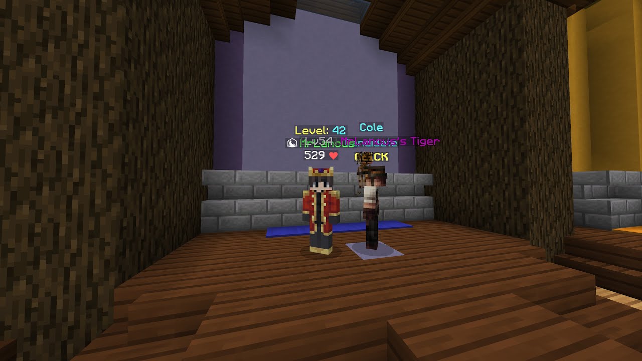 Vote for Cole! (Hypixel Skyblock) - YouTube