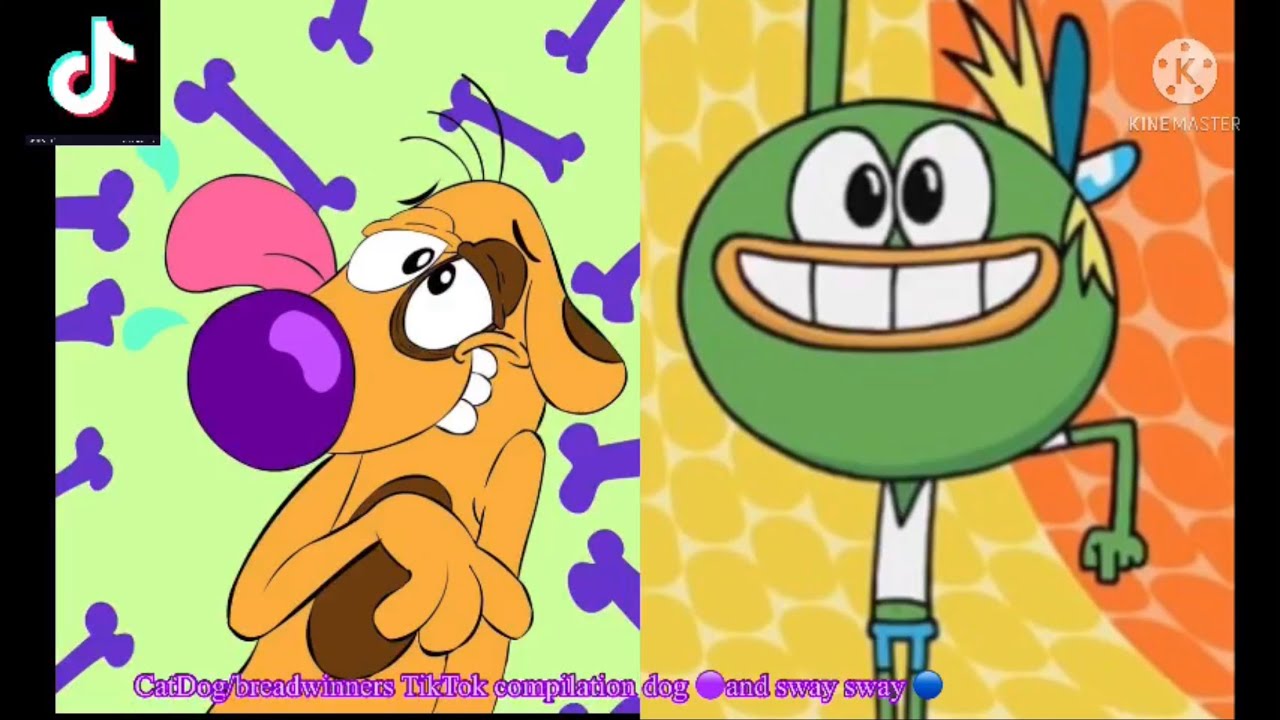 CatDog/breadwinners TikTok compilation dog 💜 and sway sway 💙 - YouTube