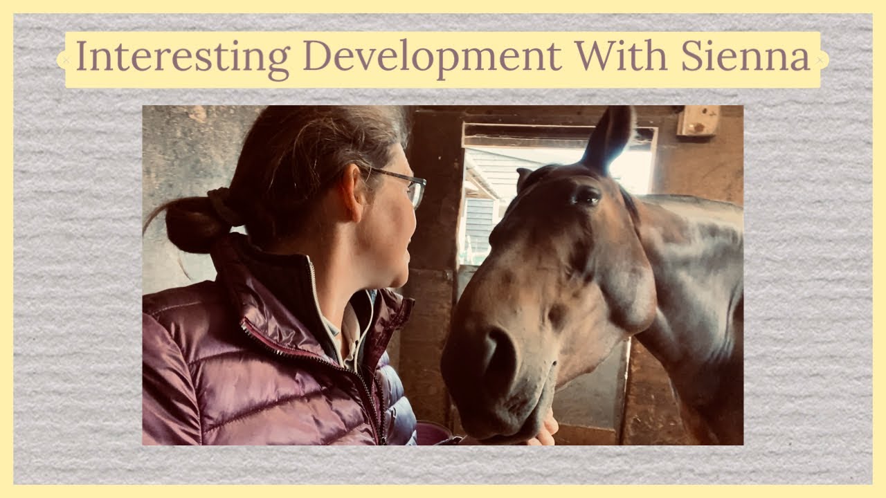 Interesting Development With Sienna | Equestrian Vlog - YouTube
