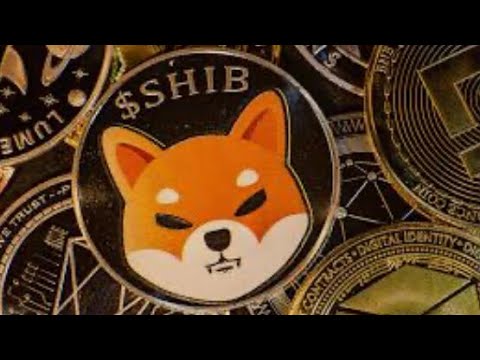 PROPHETIC DREAM: SHIBA INU NEXT? WORD: INTEGRITY, RESILIENCE ...