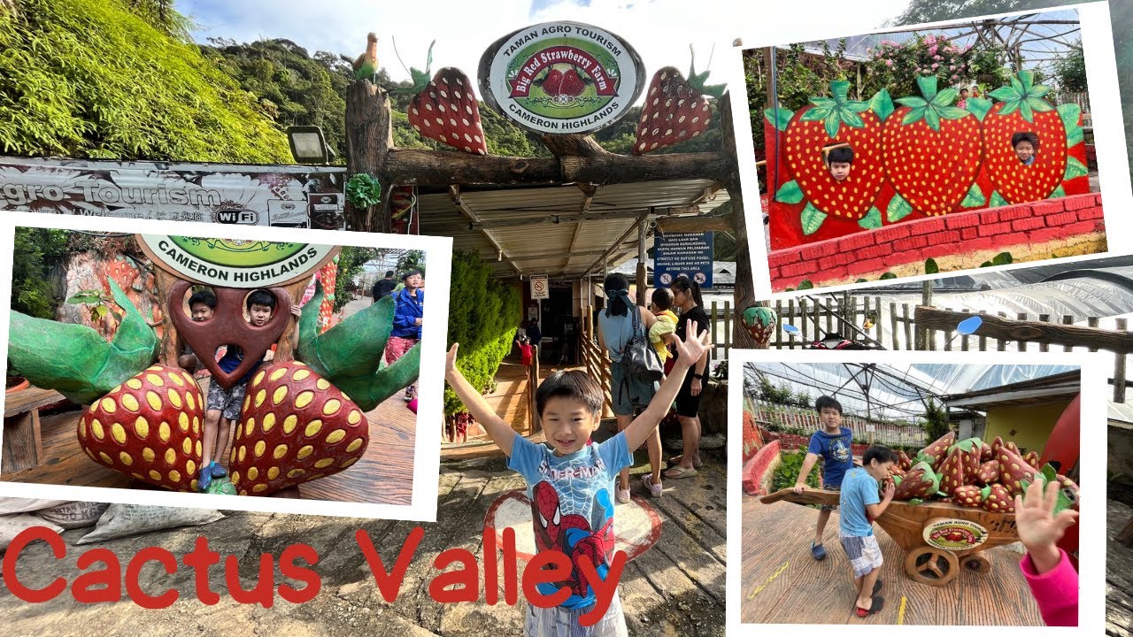 First Time At Cactus Valley Cameron Highlands - YouTube