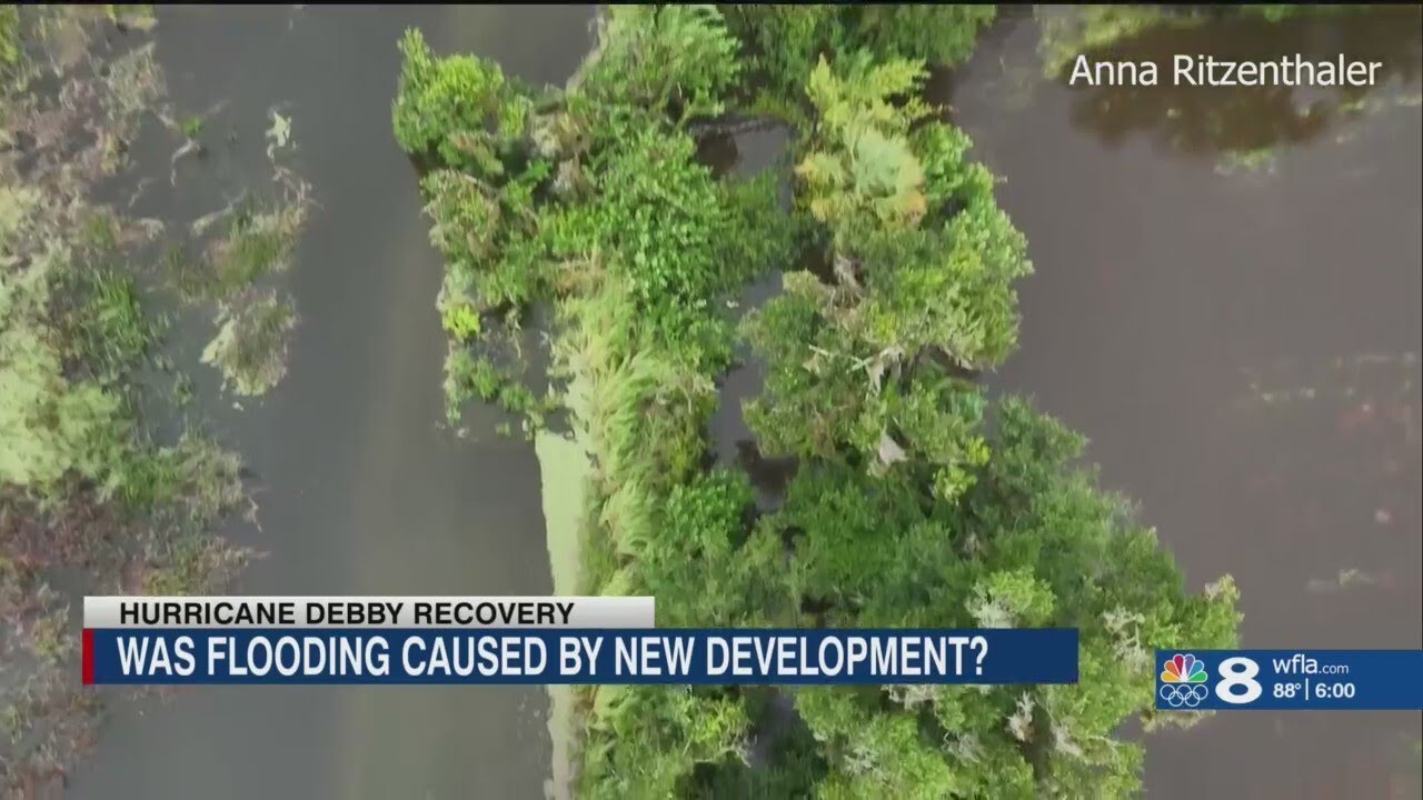 Parrish resident says 6ft flooding in her backyard was from more than ...