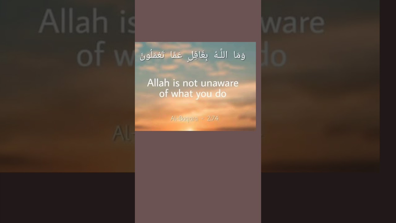 One Islam Productions ‎@The iSLAM TV ‎@Islam360 ‎@Islam Populer ‎@DEEN ...