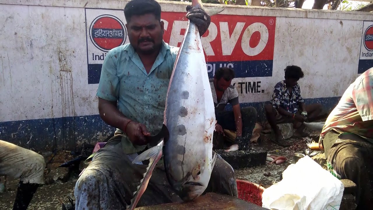 Amazing fish fillet Skills | Indian Fish Market | Trevally family - YouTube