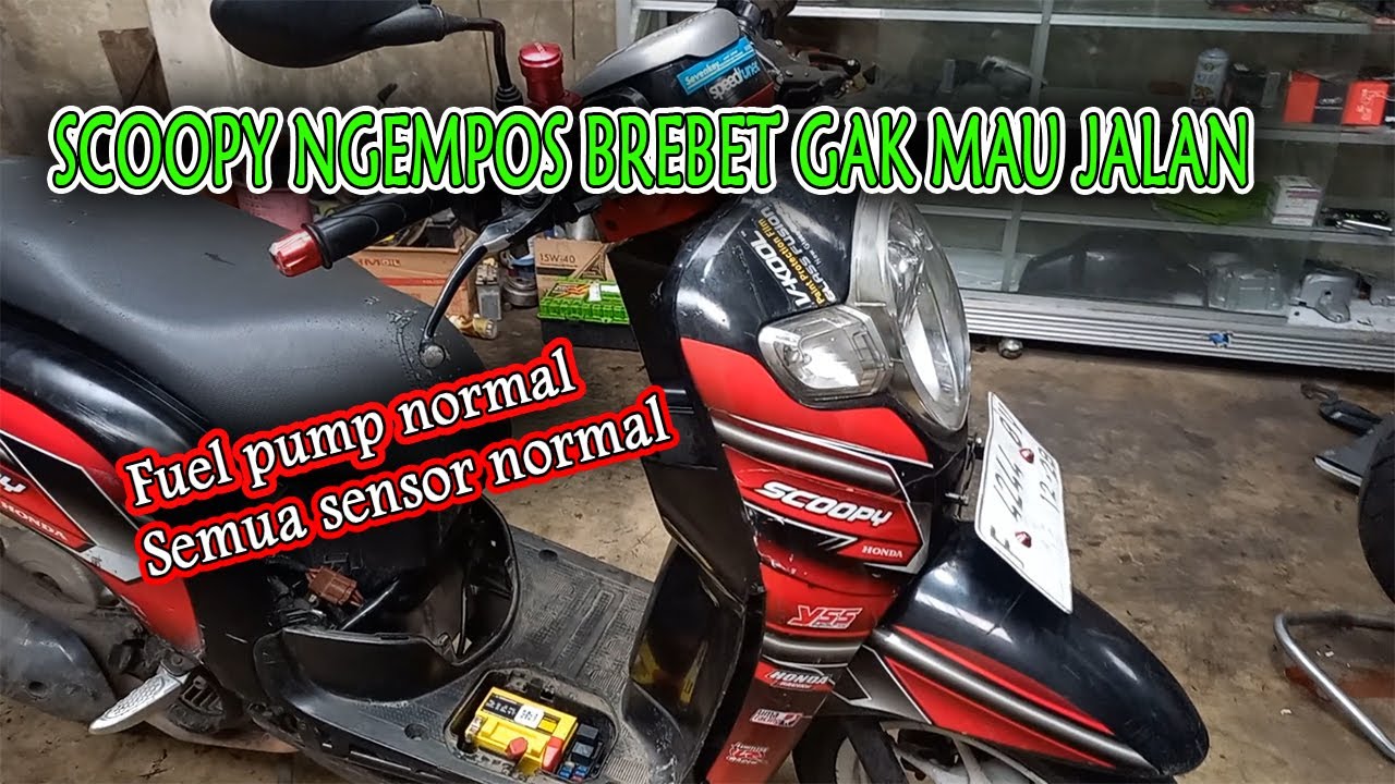 Masalah yang jarang terpikirkan Scoopy ngempos brebet parah 🤦‍♂️🤦‍♂️ ...