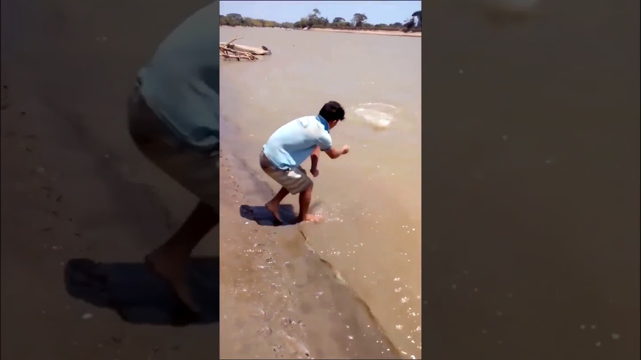 Strange creatures found in the river😂 - YouTube