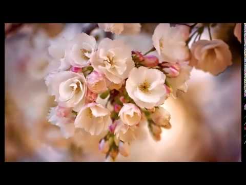 ╰☆╮❤İclal Aydın Annenin Kaderi Kızına❤╰☆╮ Birsen Zeynep Özkan