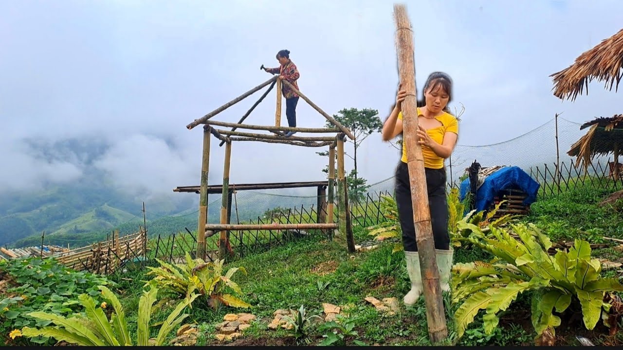 Build a hut with bamboo poles /Sung Di peaceful family life - YouTube