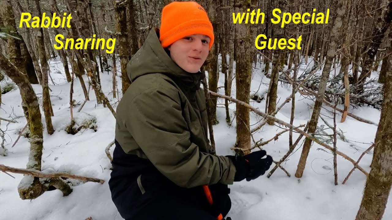 Rabbit Snaring Episode 4 (With Special Guest) - YouTube