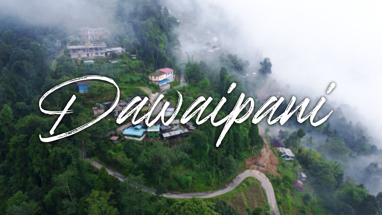Dawaipani near Darjeeling | Drone Shots | DJI MINI 2 | Cinematic video ...