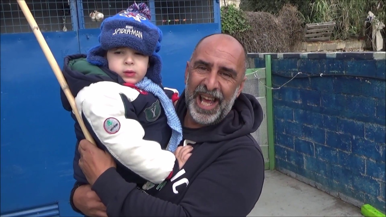 ΣΥΛΛΟΓΟΣ ΠΕΡΙΣΤΕΡΙΩΝ ΑΜΦΙΑΛΗΣ 2018!ΓΙΩΡΓΟΣ ΔΑΒΙΟΣ Κ9 - YouTube