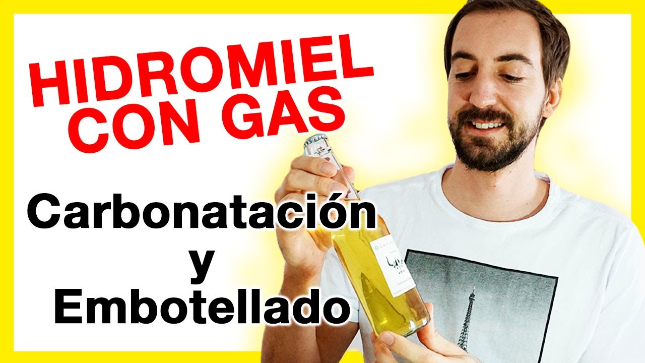 🍾 Cómo CARBONATAR y EMBOTELLAR HIDROMIEL ESPUMANTE 🍯 Hidromiel CASERA ...