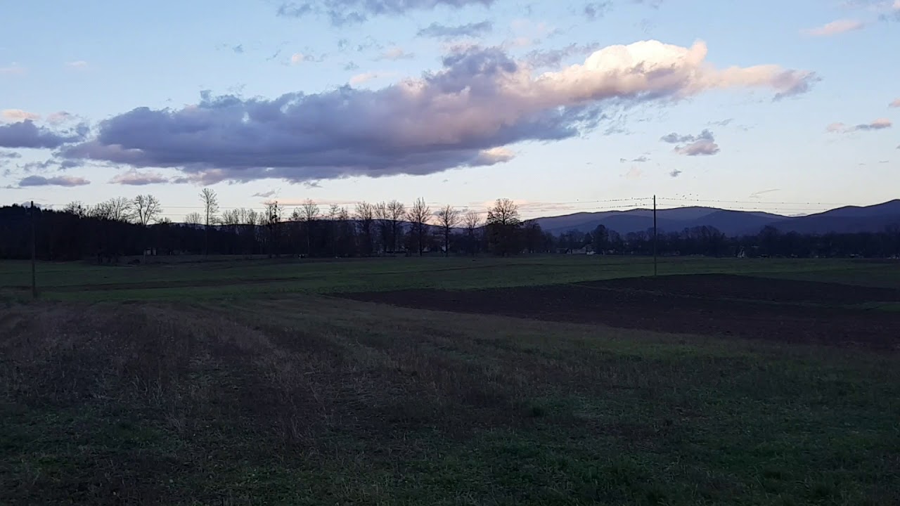 LIČKI OSIK - Ptice u letu 30.10.2018. - YouTube