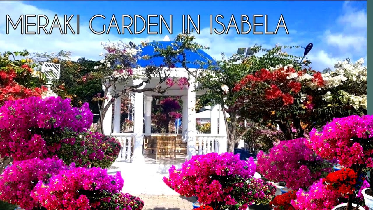 MERAKI GARDEN in Isabela🌻🌼🌷🌺New tourist spot in Isabela Philippines ...