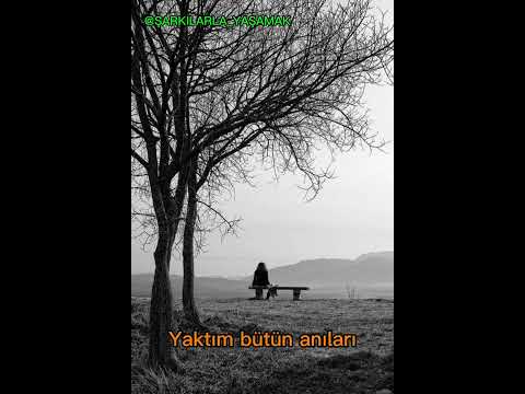 en sevdiğin de gidermiş , güvendiğinde aşk bitermiş