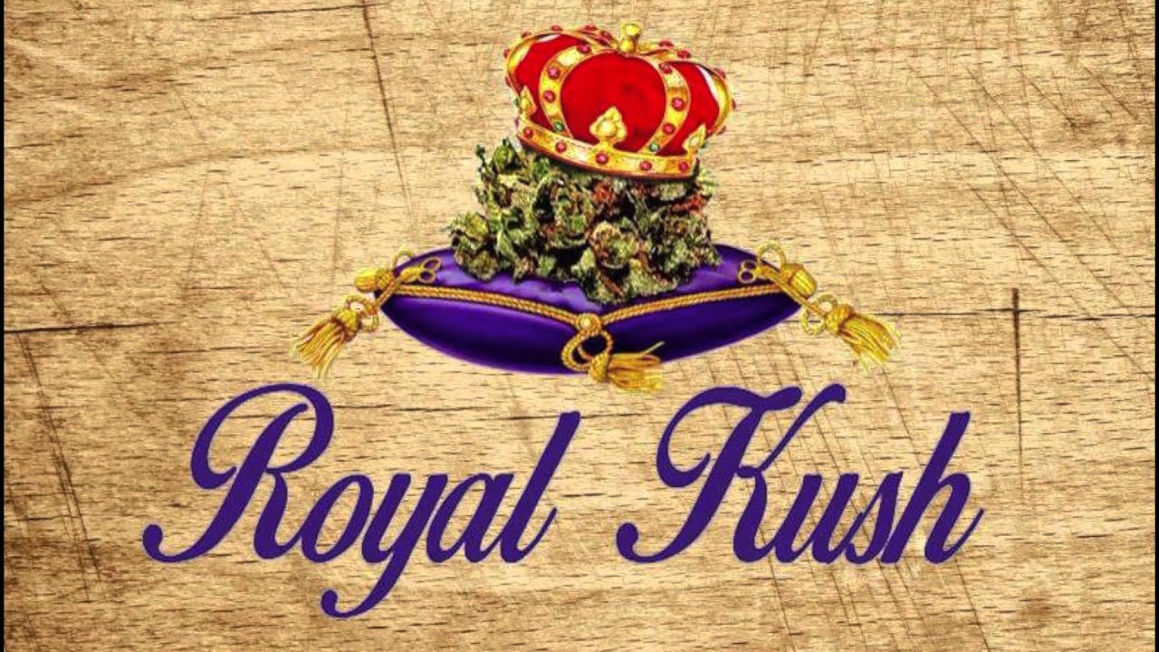 Royal Kush Band - Summertimes back feat Mischif prod Bob bell - YouTube