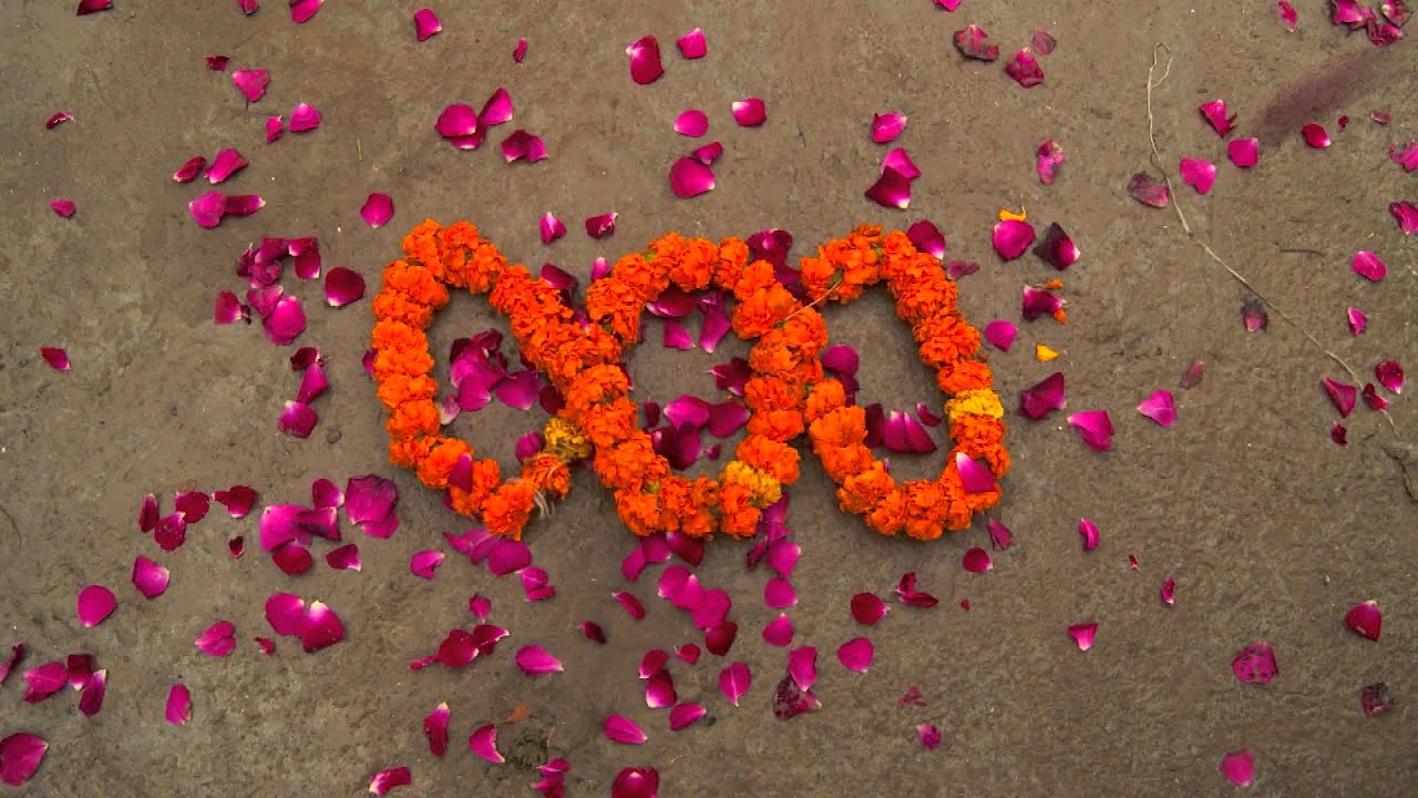 ABC ROSE PETALS - YouTube