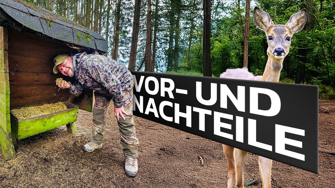 Rehwildfütterung - Warum? Tipps zum Platz & Futter #nordjagd - YouTube