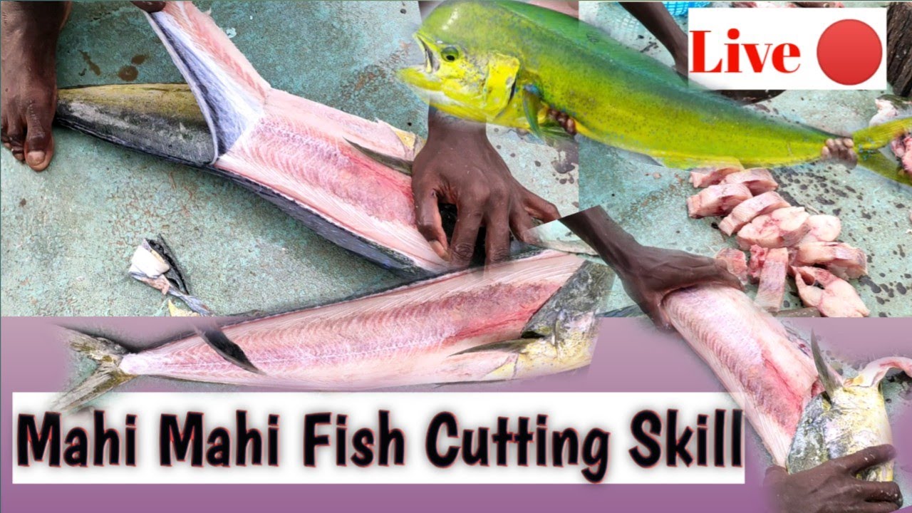 Big Mahi Mahi fish cutting skills| #fish_cutting, | #Dorado_fish ...