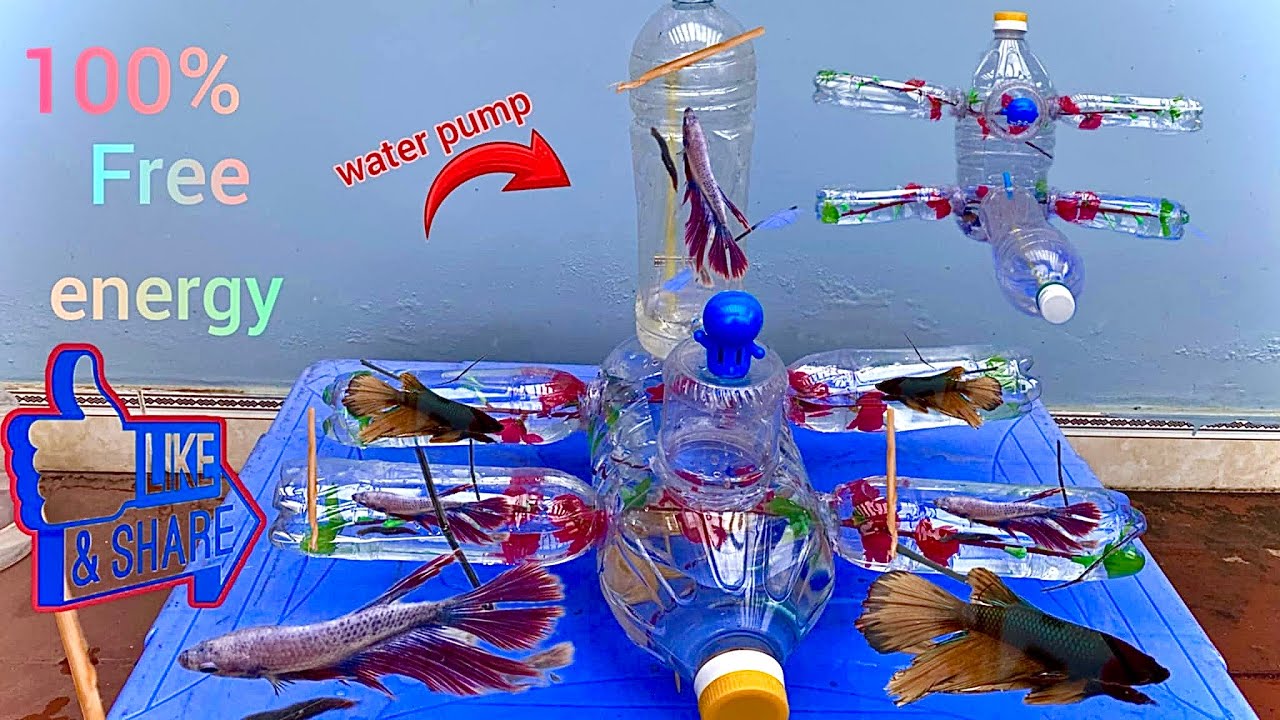 Unlimited Creativity DIY Aquarium from Plastic Bottles for Raising ...