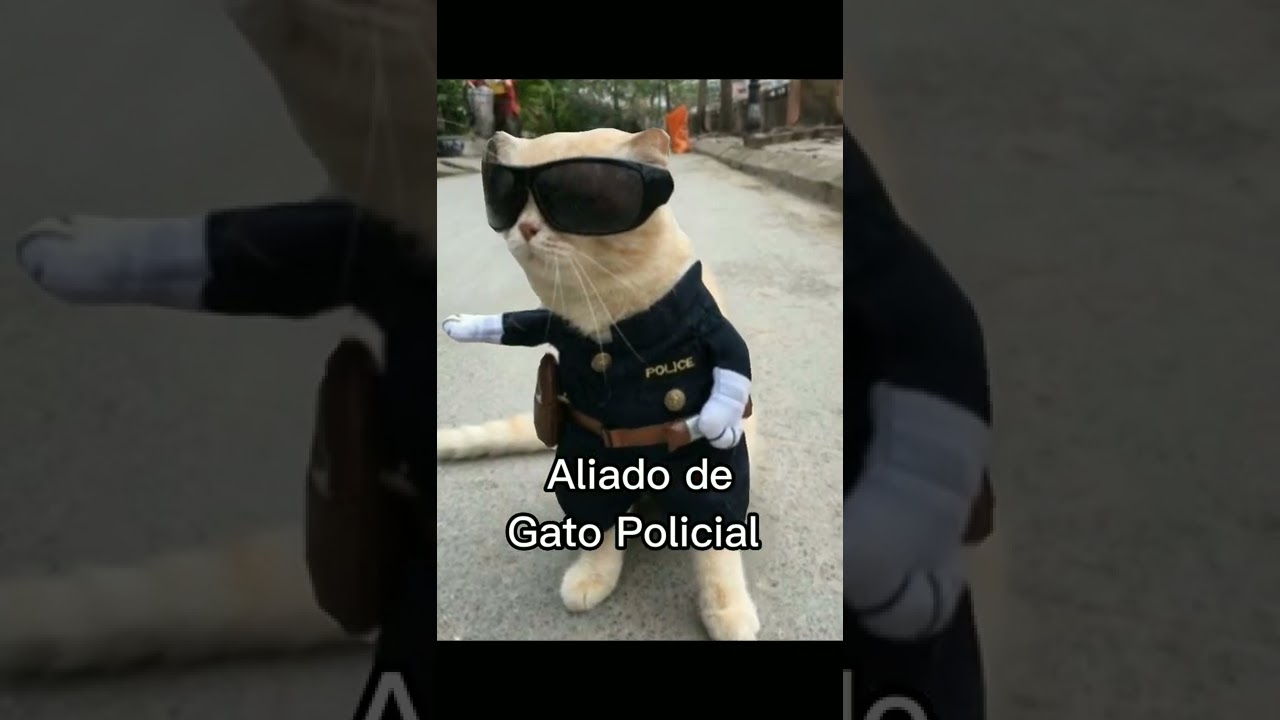 Maiores feitos de Capivara Batman#shorts #maioresfeitos - YouTube