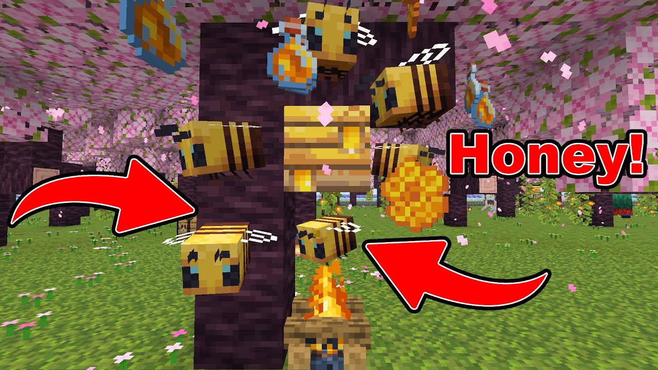 How To Get Honey Blocks, Honey Bottles, Honey Comb And Find Bees Nests ...