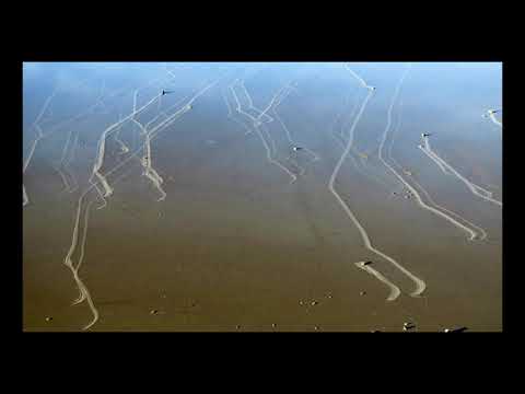 Hareket Eden Taşlar [TÜRKÇE]