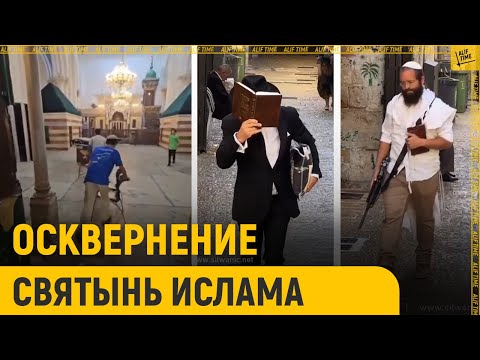 Умма в спячке! Осквернение святынь ислама