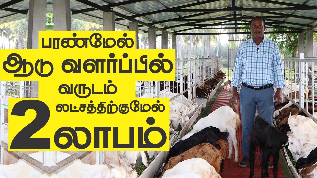 AADU VALARPU TAMIL | பரண்மேல் ஆடு வளர்ப்பு முறைகள் - YouTube