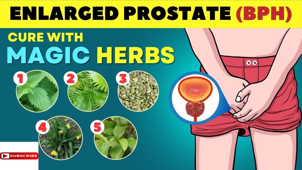 Say Goodbye to Enlarged Prostate with Saw Palmetto: Natural Solution ...