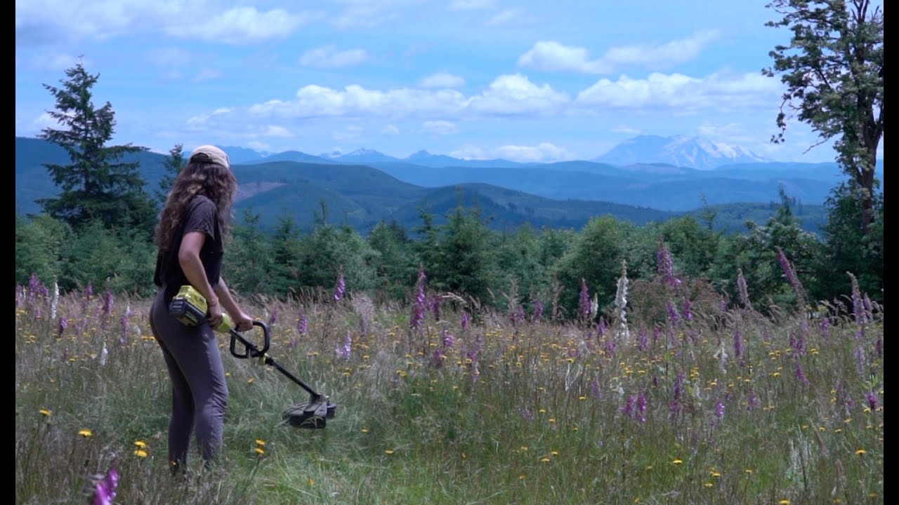 WE BOUGHT LAND for our homestead! I Digging our well & prepping our ...