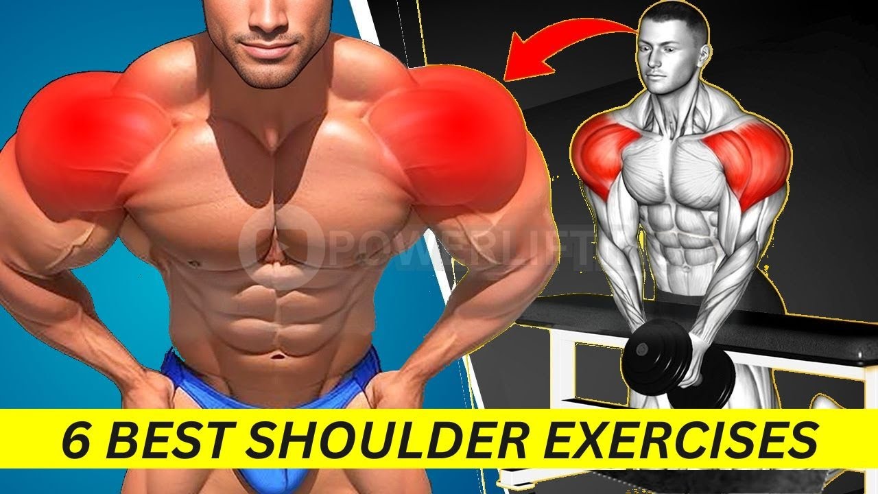 Build Your Shoulder Muscle With Only 2 Times Per Week - Shoulders ...