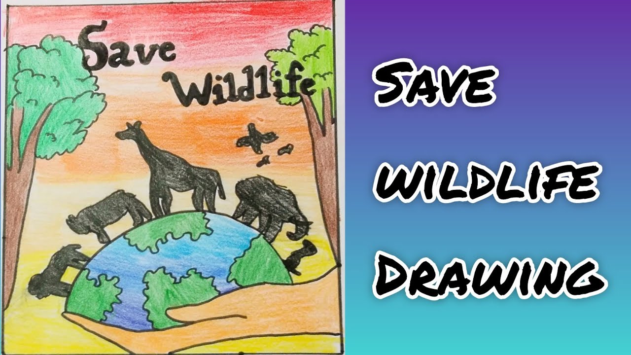 save wildlife drawing - YouTube