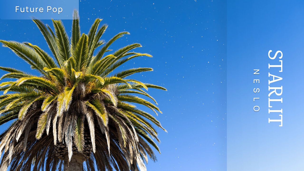 Neslo - Starlit (Future Pop) - YouTube