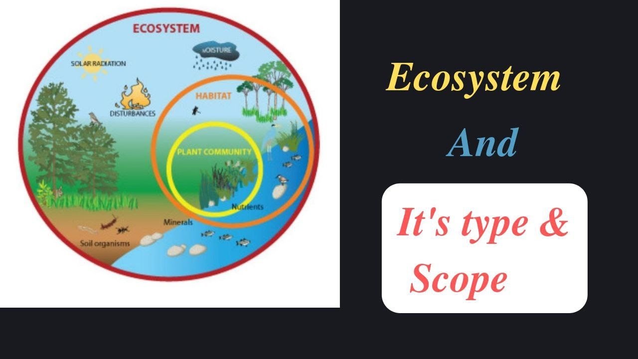 L-2: Ecosystem and its' type & Scope - YouTube