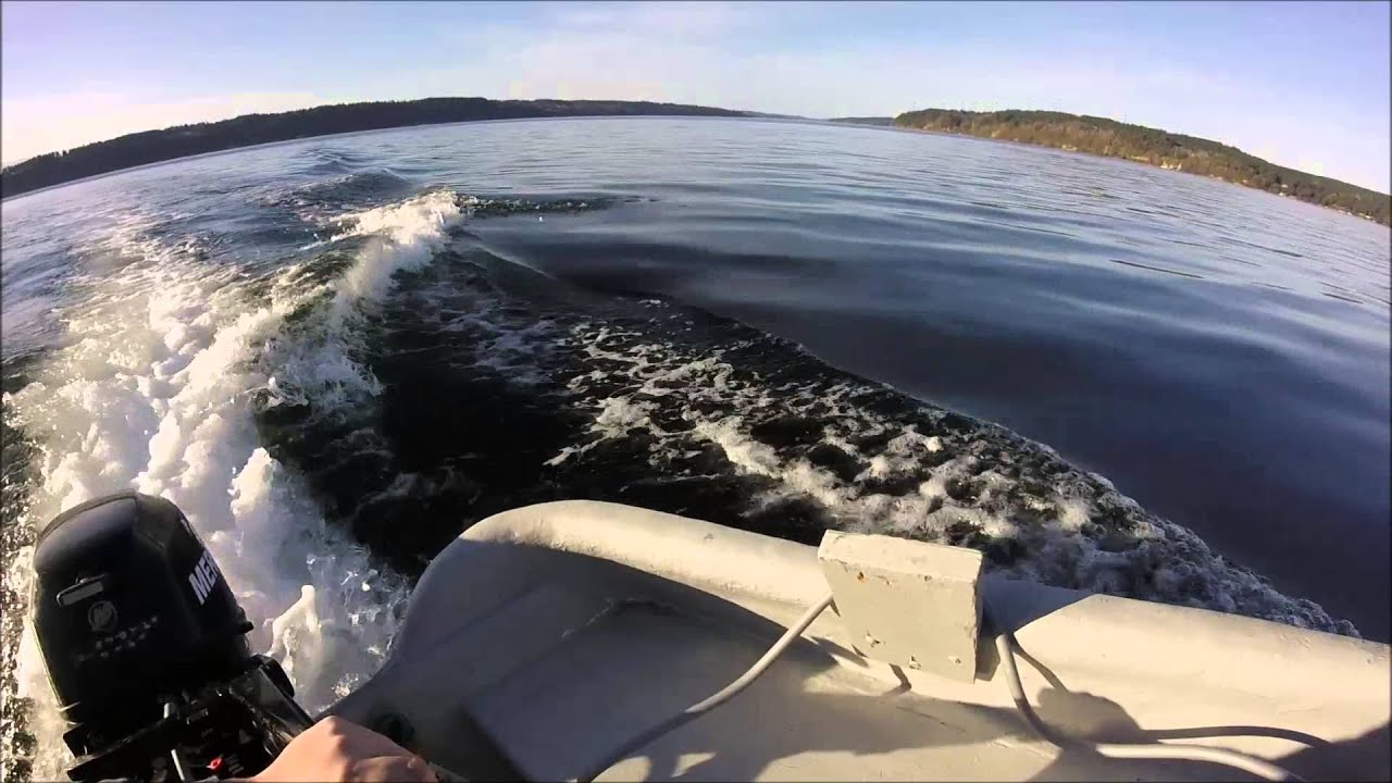 White Sided Dolphin in Puget Sound - YouTube