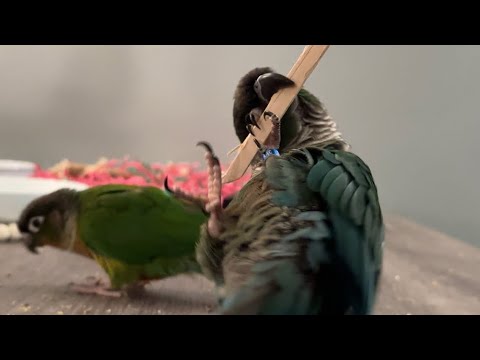 Stick it to ‘em - YouTube