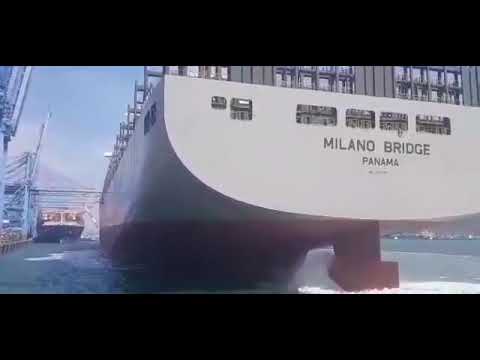 The Collision of MILANO BRIDGE and gantry crane at Busan New Port ...