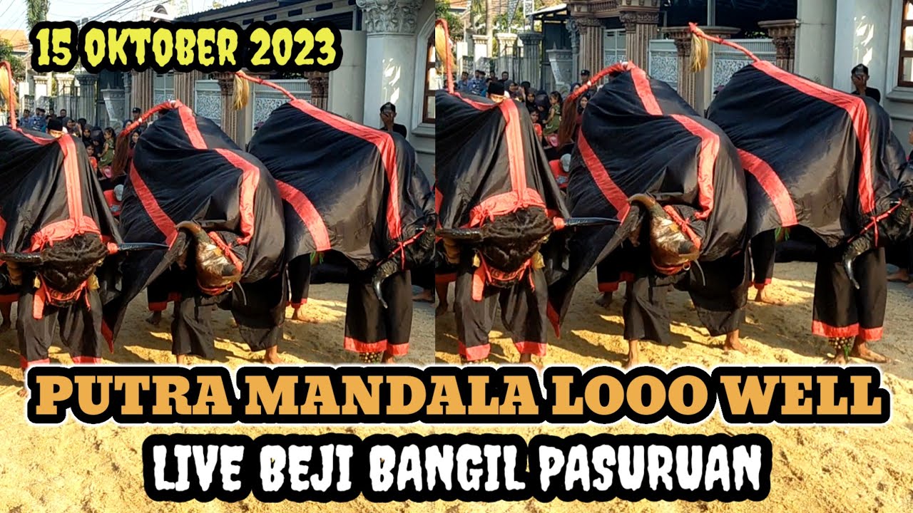 PUTRA MANDALA WISANGGENI LOOOOOO.. LIVE BEJI BANGIL PASURUAN 2023 - YouTube