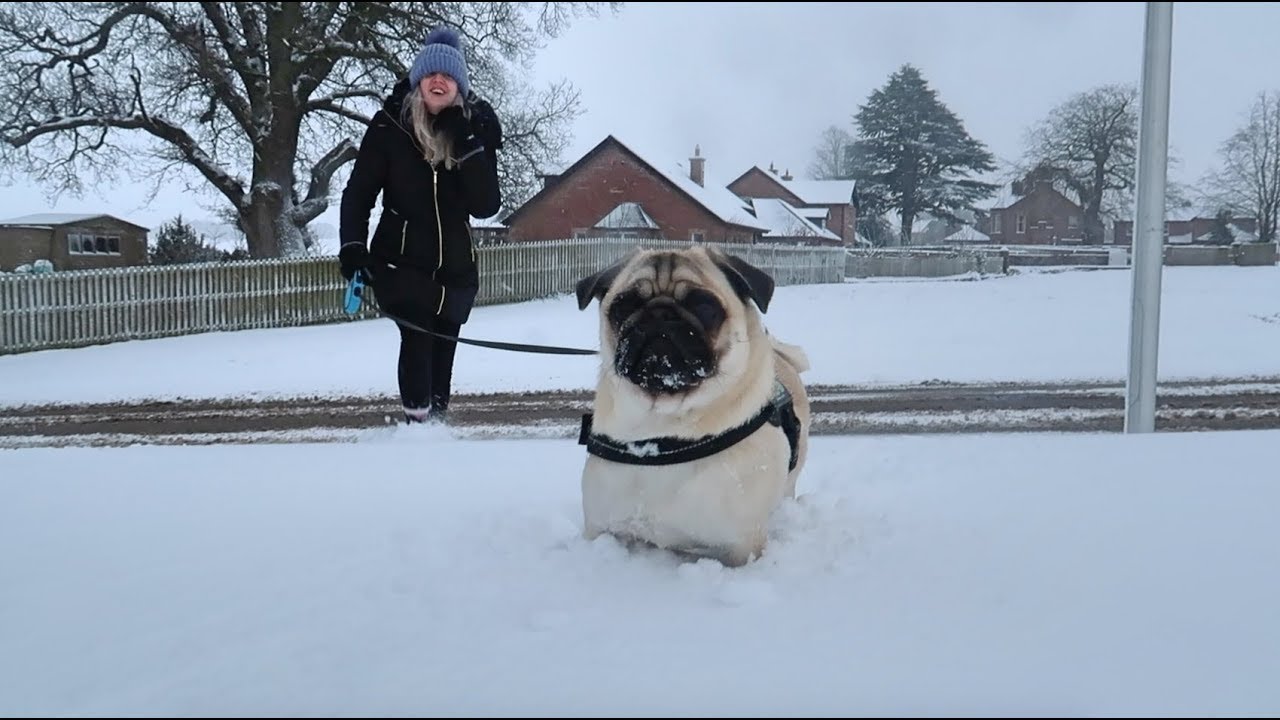 CRAZY Snow day! - YouTube