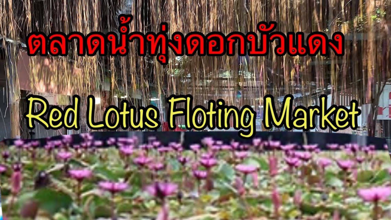 Discover the Enchanting Allure of the Red Lotus Floating Market: A ...