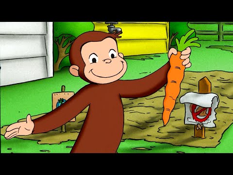 ¡Una zanahoria de concurso! | Jorge El Curioso En Español