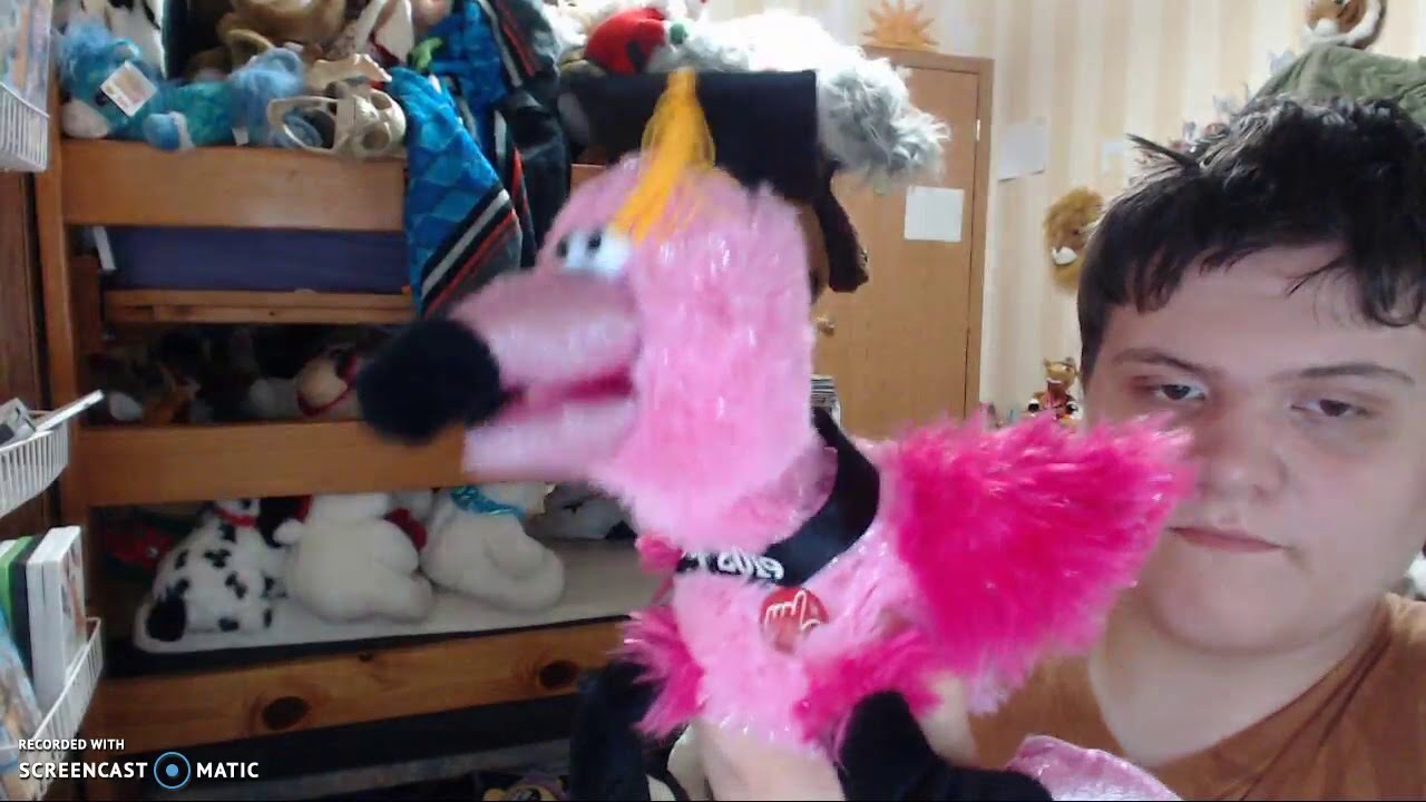 dan dee 2019 graduation singing flamingo - YouTube