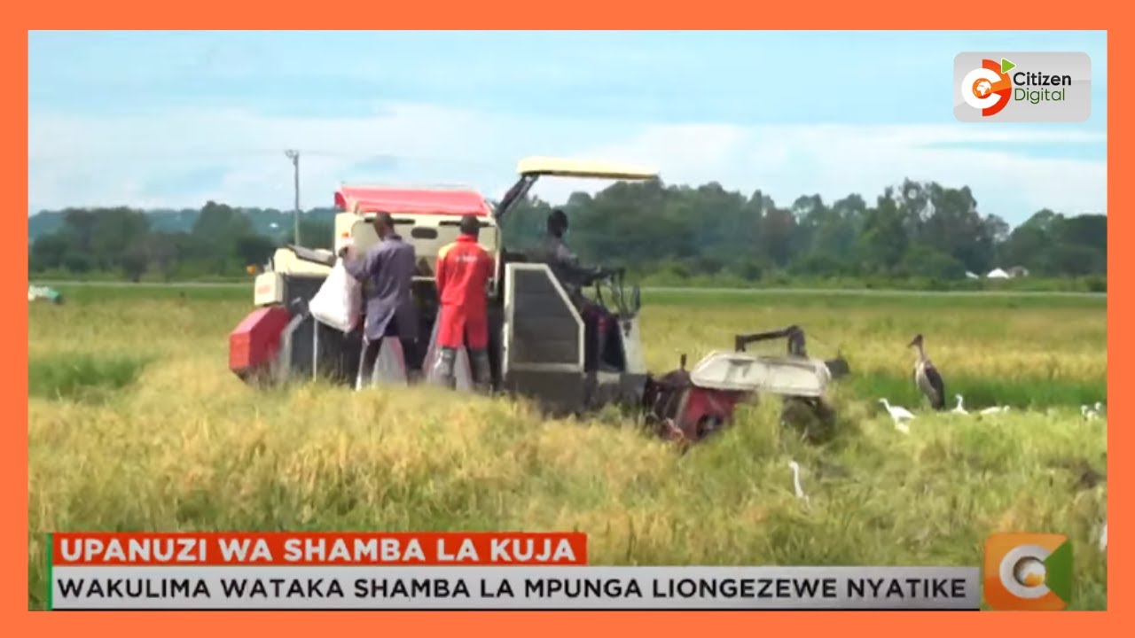 Wakulima wataka shamba la mpunga liongezewe Nyatike - YouTube