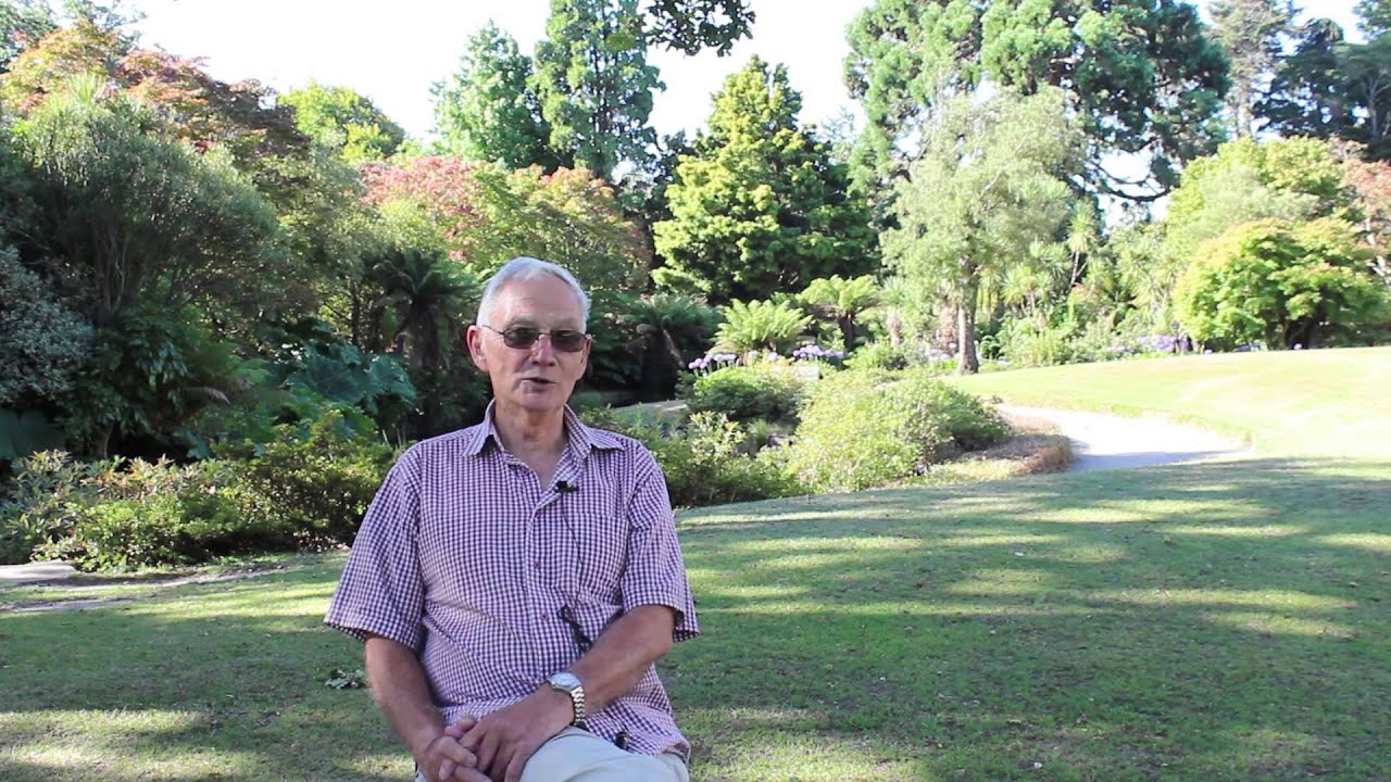 interview jim cole - YouTube