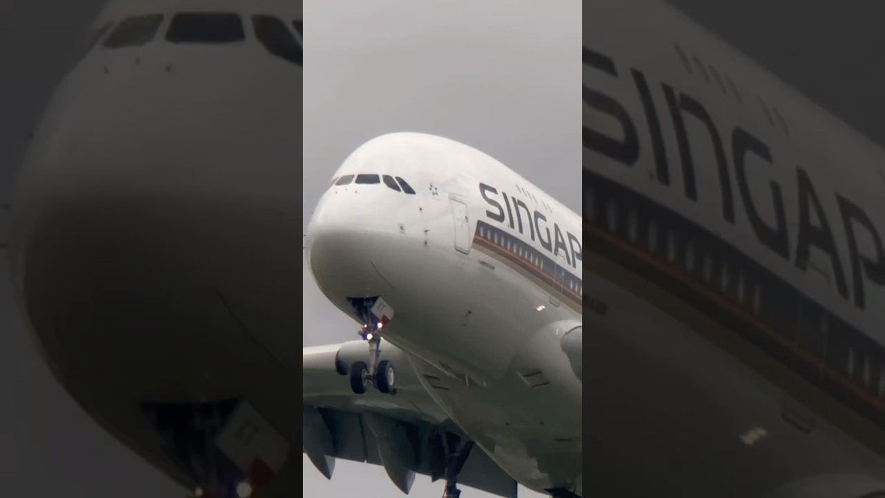 Singapore Airlines A380 | Landing at Heathrow Airport 🇬🇧🇸🇬#aviation # ...