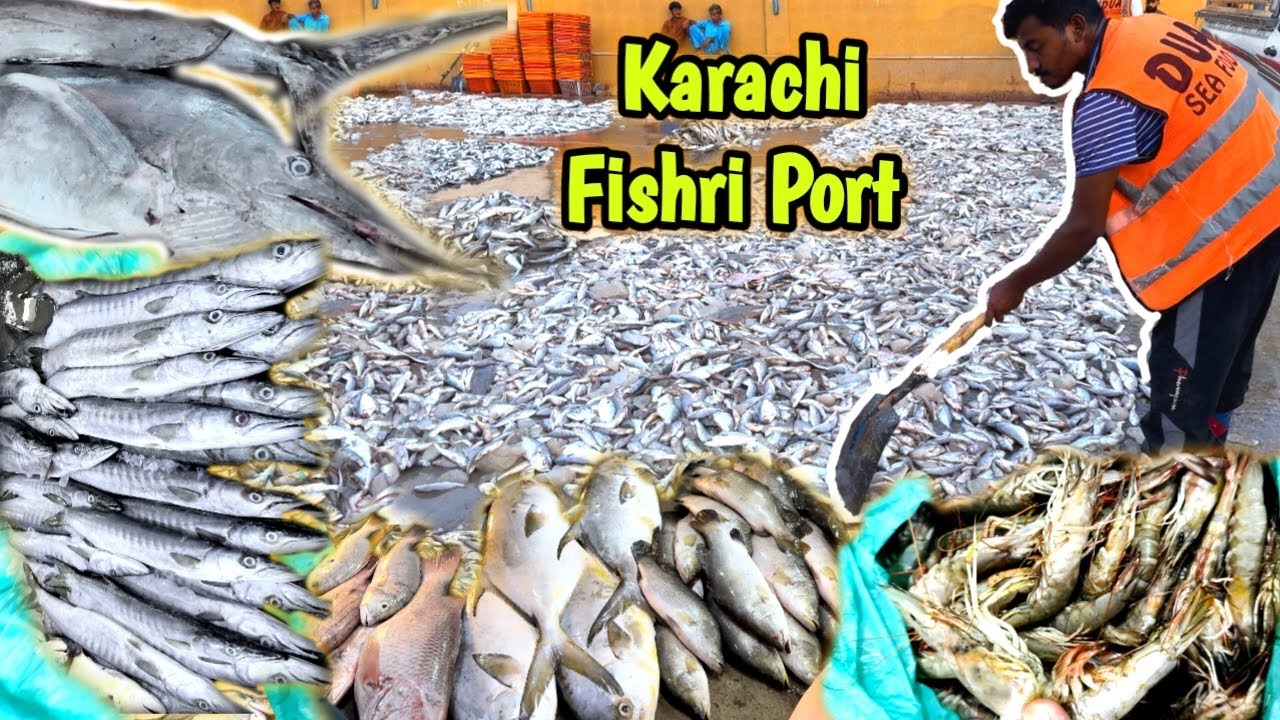Fishri Port Karachi | Karachi Fish Market | Fresh Seafood At Very Cheap ...