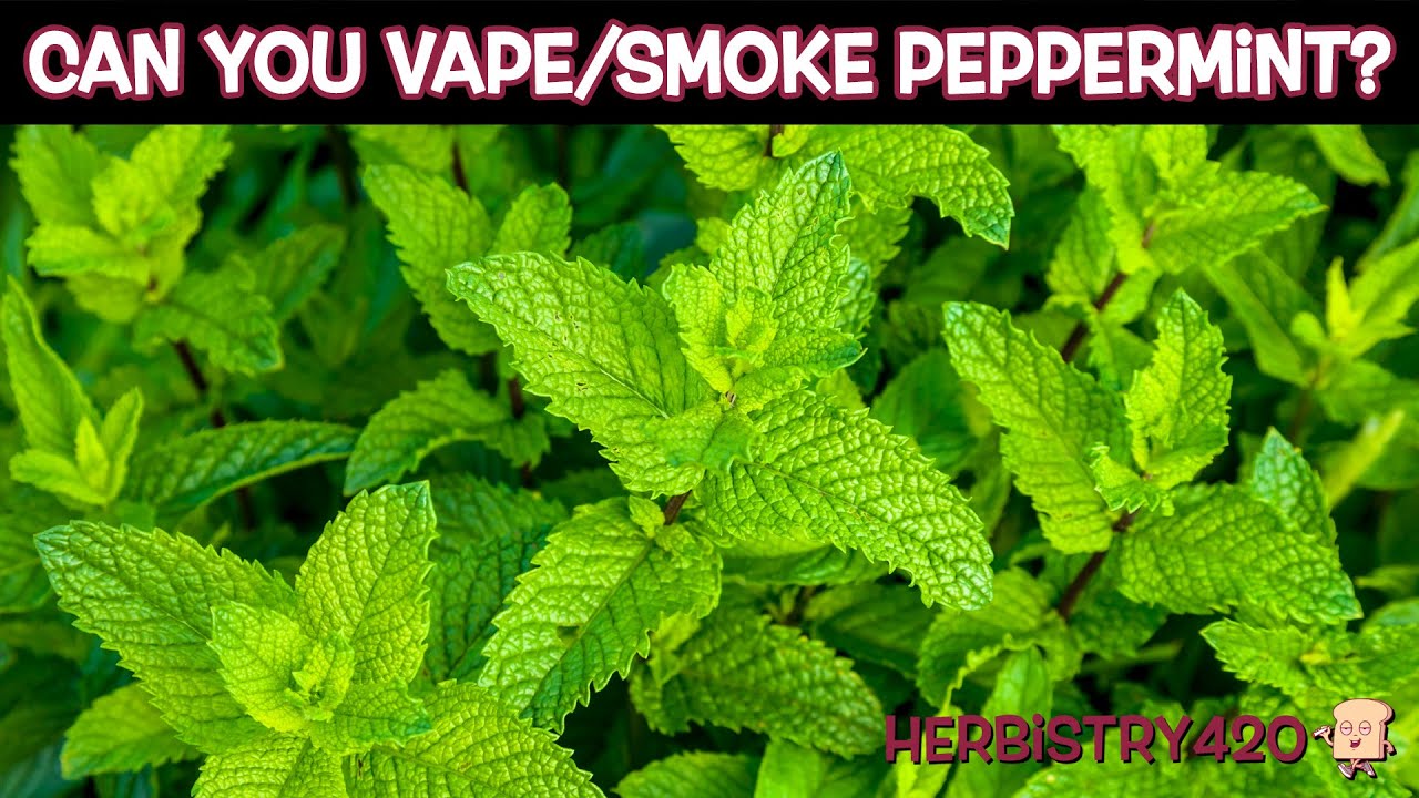 Can You Vape/Smoke Peppermint | Dry Herb Series | Herbistry420 - YouTube