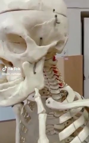 calaca mewing 🗿 - YouTube