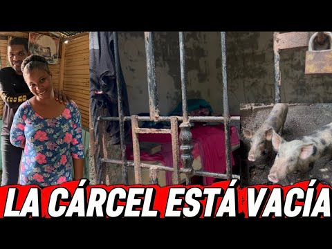 Sibelis Volvió A Salir De Prisión, Su Hijas Donde Una Tía, Quedaron Solo 😭 El Perrito Y Los Cerdos